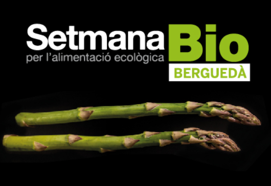 Agència de desenvolupament del Berguedà